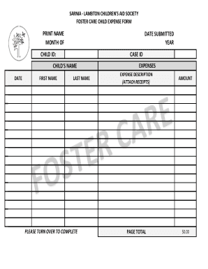 Fillable Online FOSTER PARENT EXPENSE FORM.xlsx Fax Email Print - pdfFiller