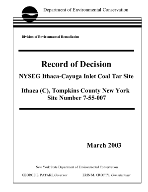 Fillable Online Record of Decision - New York State Department of ...