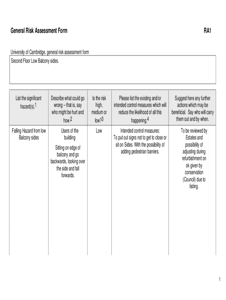 Fillable Online Examples of completed risk assessments using Form ...