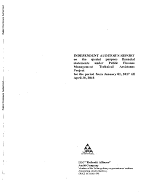 Fillable Online INDEPENDENT AUDITOR'S REPORT Fax Email Print - pdfFiller