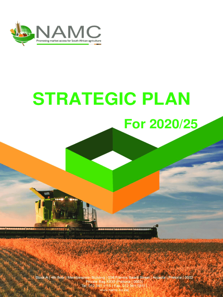 Fillable Online Pmg Org Strategic Plan Pmg Fax Email Print Pdffiller