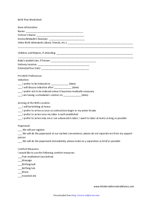 Fillable Online Simple Birth Plan Template (Free and editable PDF or ...