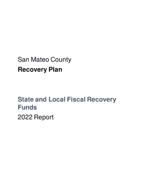 Fillable Online Recovery Plan State and Local Fiscal Recovery FundsSan ...