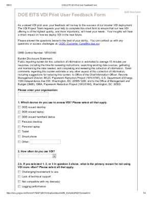 Fillable Online DOE EITS VDI Pilot User Feedback Form Fax Email Print ...