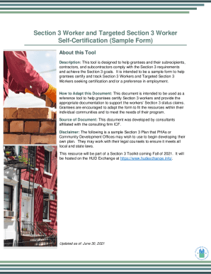 Fillable Online comdev mt Section 3 and Targeted Section 3 Workers Self ...