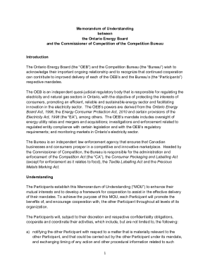 Fillable Online Memorandum of Understanding between the Ontario Energy ...