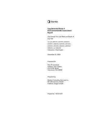 Fillable Online Phase 2 Environmental Site Assessment (Phase II ESA ...