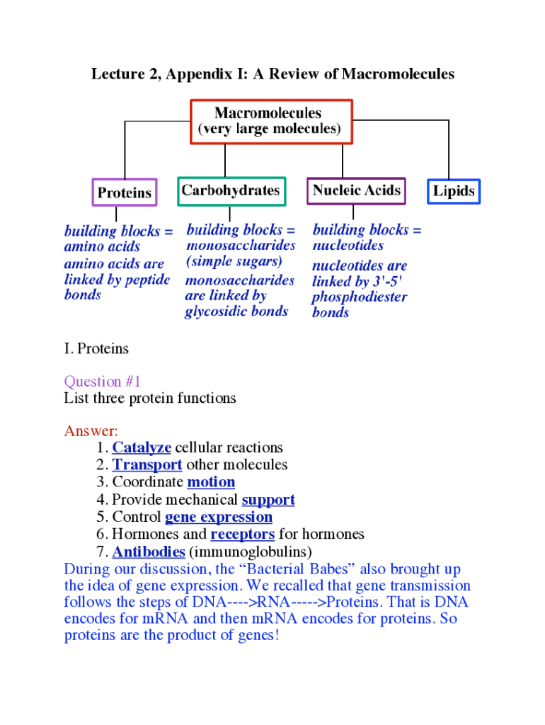 Fillable Online Introduction to proteins and amino acids (article ...