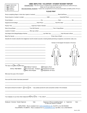 Fillable Online FREE 12+ Volunteer Incident Report Examples ...