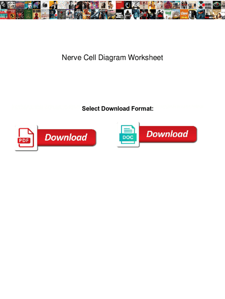 Fillable Online Nerve Cell Diagram Worksheet. Nerve Cell Diagram ...