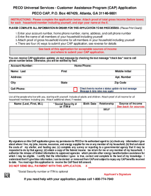 Fillable Online PECO Customer Assistance Program (CAP) Choice ...
