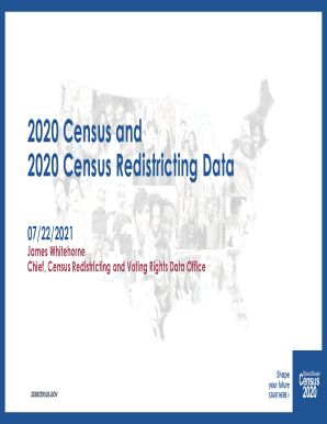 Fillable Online 2020 Census Redistricting Data To Paint Clearer Picture of America Fax Email ...