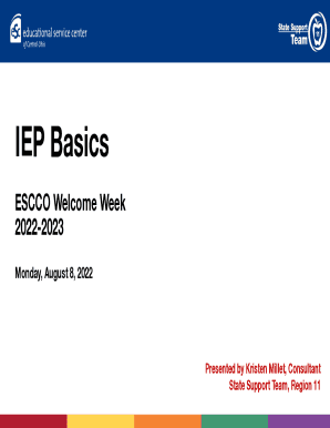 Fillable Online The IEP Process: Everything You Need to Know Fax Email ...