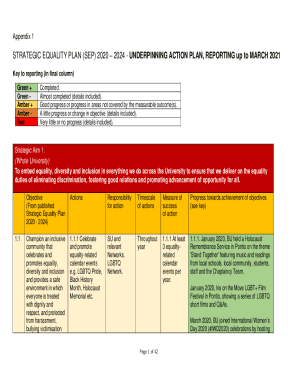 Fillable Online STRATEGIC EQUALITY PLAN (SEP) 2020 2024 - UNDERPINNING ACTION PLAN ... Fax Email ...