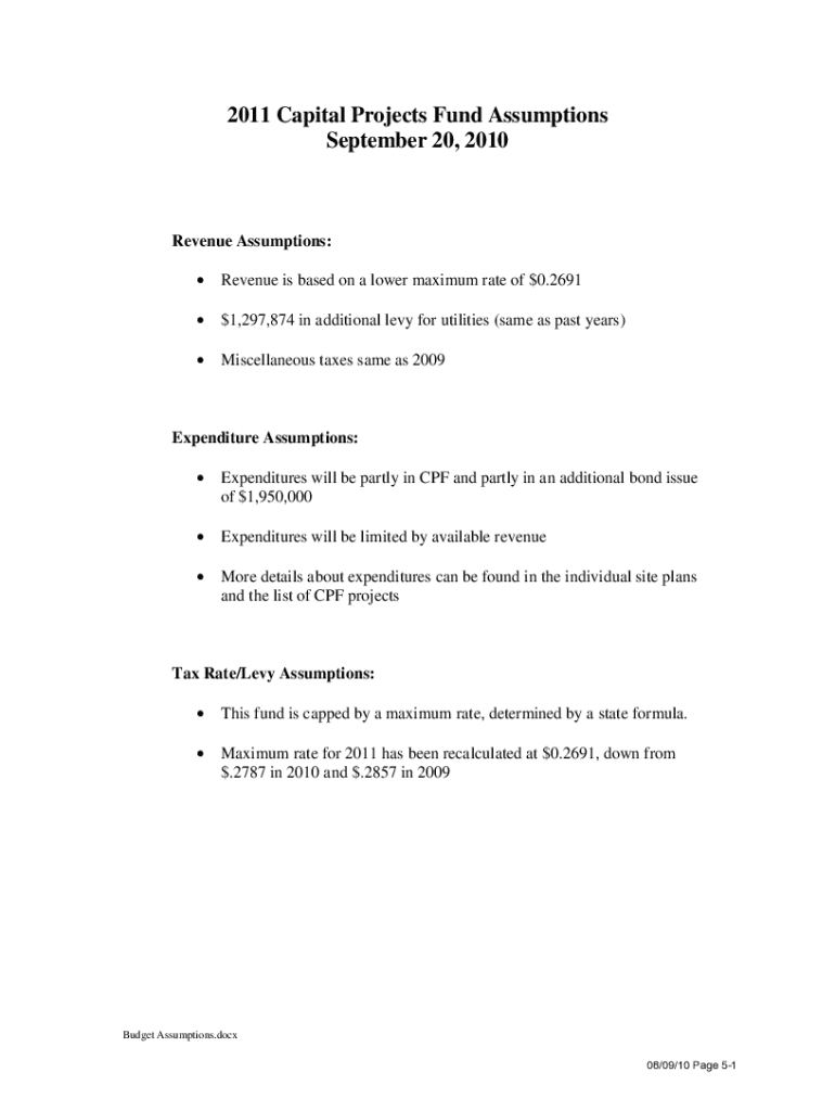 Fillable Online Budget Assumptions.docx Fax Email Print - pdfFiller