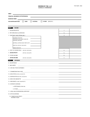 Fillable Online How to Fill Out Your Schedule C Perfectly (With ...