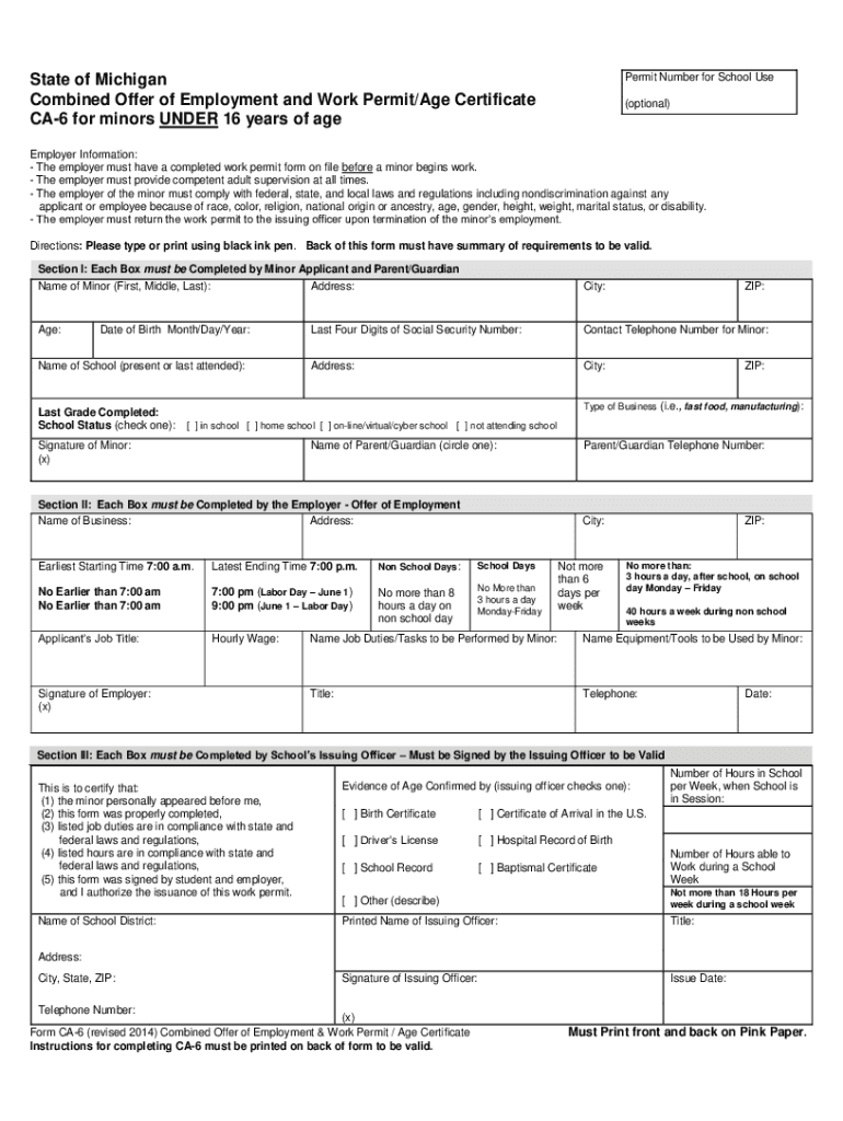 Fillable Online Get A Youth Work Permit Online Georgia Department of ...