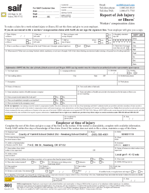 Fillable Online Report of Job Injury or Illness, 801. X801 Form and ...