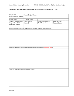 Fillable Online rioc ny RFP-SOSP-Revised Experience and Qualifications ...