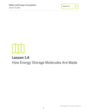 Fillable Online Lesson 1.4 How Energy Storage Molecules Are Made ...