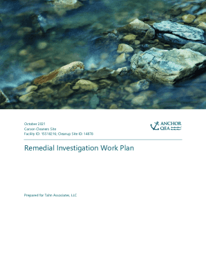 Fillable Online Remedial Investigation Work Plan. Carson Cleaners Fax ...