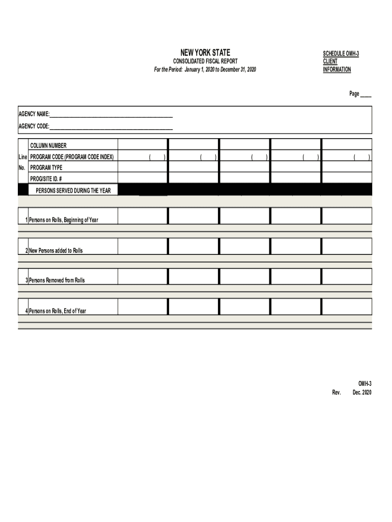 Fillable Online Fillable Online omh ny NEW YORK STATE SCHEDULE OMH3 ...
