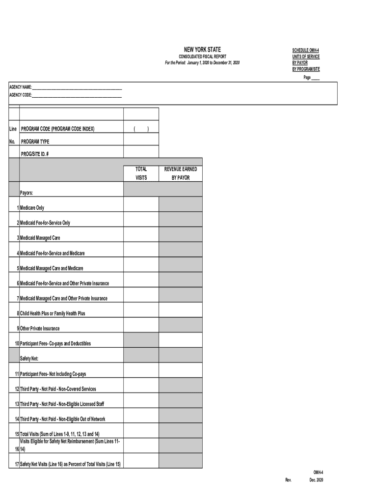 Fillable Online apps.omh.ny.govFormsCal2009SCHEDULE OMH-4 CONSOLIDATED FISCAL REPORT UNITS OF ...