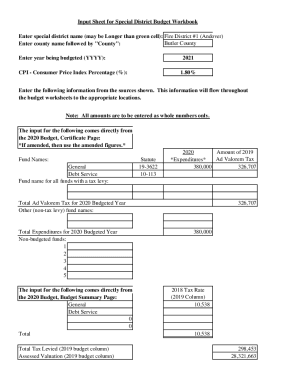 Fillable Online Get the free Input sheet for Special District budget ...