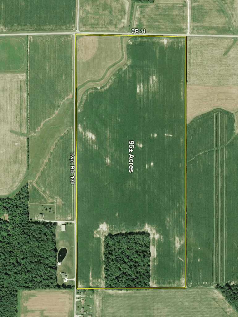 Fillable Online Types of fields and field data in Dynamics 365 Customer ...