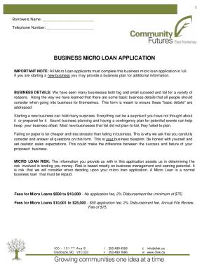 Fillable Online BUSINESS MICRO LOAN APPLICATION Fax Email Print - pdfFiller