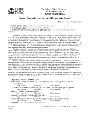 LAY MENTORING TEAMS FINAL EVALUATION - divinity duke Doc Template ...