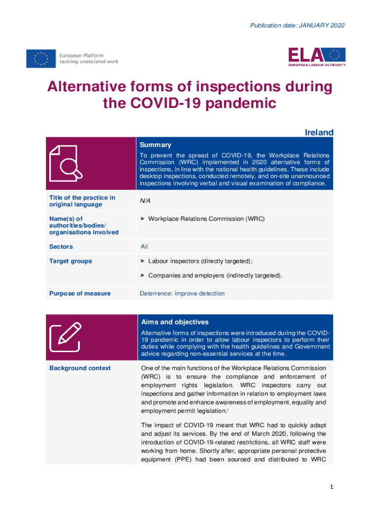Fillable Online Alternative forms of inspections during the COVID-19 ...