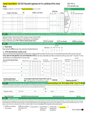 Fillable Online F&R Application Template - UPDATED Race and Ethnicity - English (1) Fax Email ...