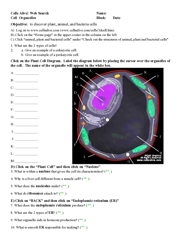 Fillable Online Cellsalive animal cell worksheet Fax Email Print ...