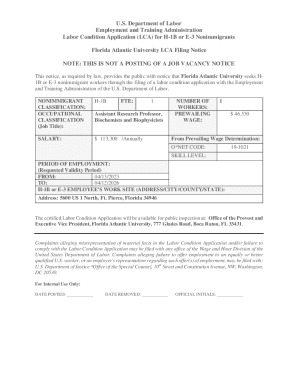 Fillable Online Labor Condition Application (LCA) for H-1B or E-3 ...