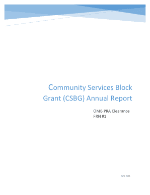 Fillable Online Community Services Block Grant (CSBG) Annual Report ...