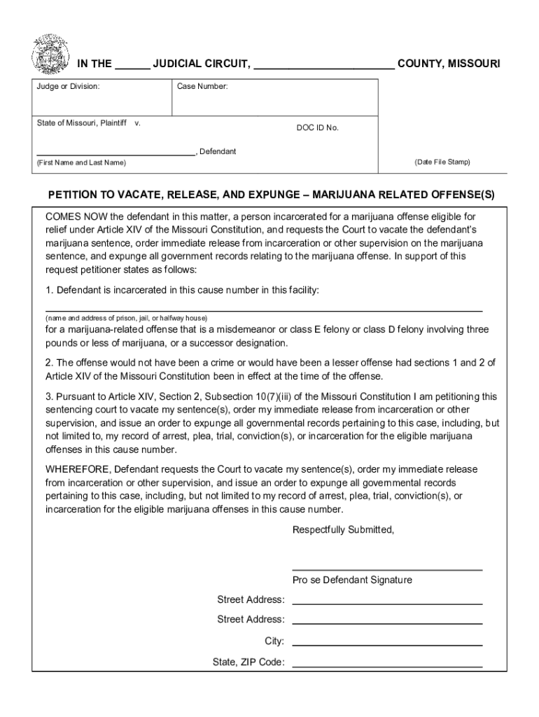 Fillable Online publicdefender mo Information on Filing a Name Change ...