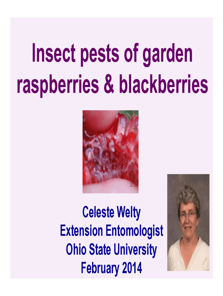 Fillable Online u osu Insect Pests of Vegetables & Fruit in Home ...