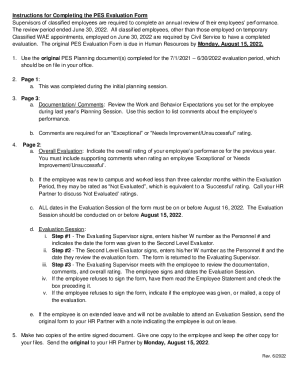 Fillable Online Instructions for Completing the PES Evaluation Form ...
