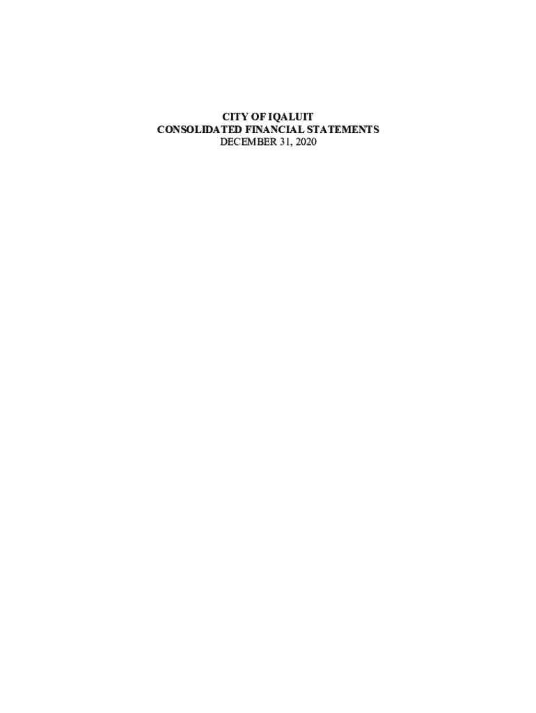 Fillable Online Audited consolidated financial statements - SEC.gov Fax ...