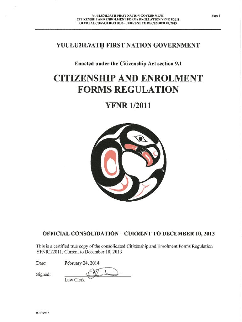 Fillable Online First Nations Jurisdiction on Citizenship and Identity Fax Email Print - pdfFiller