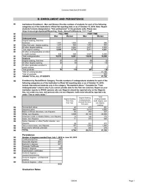 Fillable Online B-1/B-2 Visitor Visa - International Student & Scholar ...
