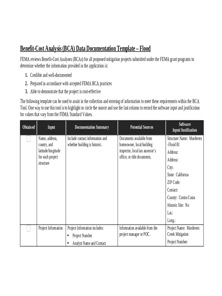 Benefit-Cost Analysis (BCA) Data Documentation Template Doc Template | pdfFiller