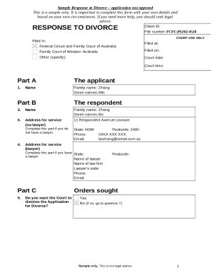 Affidavit for efiling application (divorce) - By Lawyers Doc Template ...