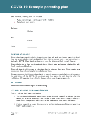 Fillable Online Parenting Plan Checklist: Information to help you get ...