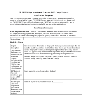 FY 2022 Bridge Investment Program (BIP) Large Projects Application ...