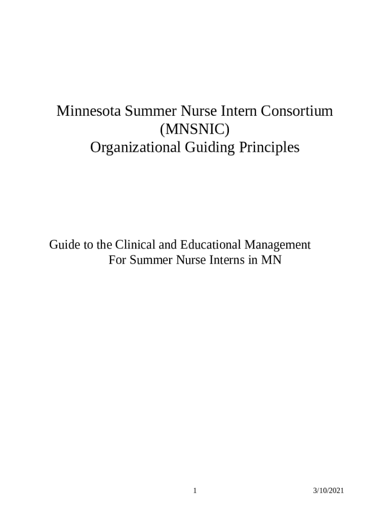 Summer Nurse Internship Program - OSF HealthCare Doc Template | pdfFiller
