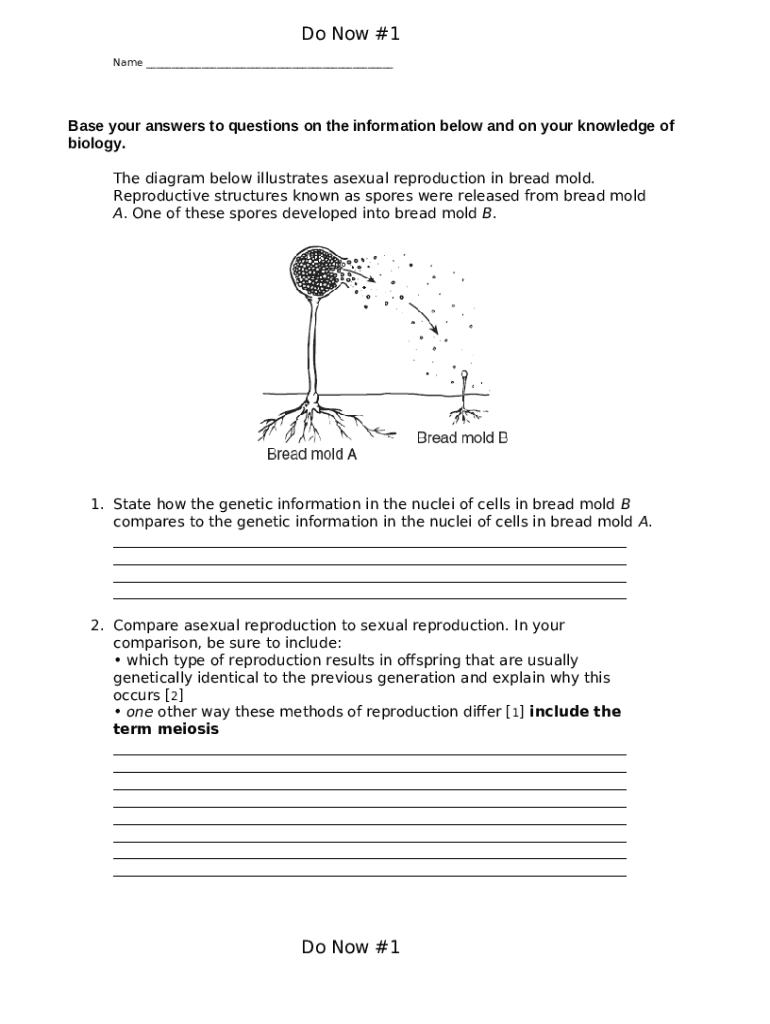 60-Second Strategy: Do Now Sheets - Edutopia Doc Template | pdfFiller