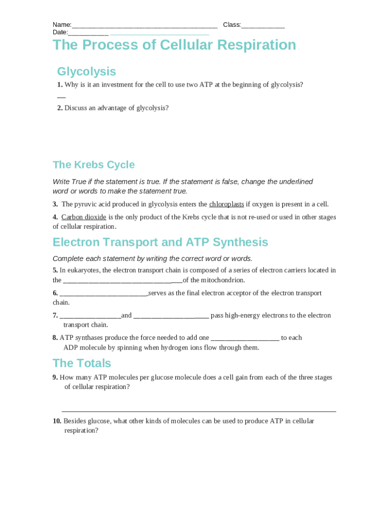 The Process of Cellular Respiration - www3 nd Doc Template | pdfFiller