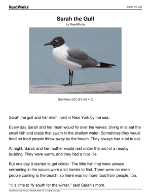 Fillable Online schoolwires henry k12 ga Sarah the Seagull, Second ...